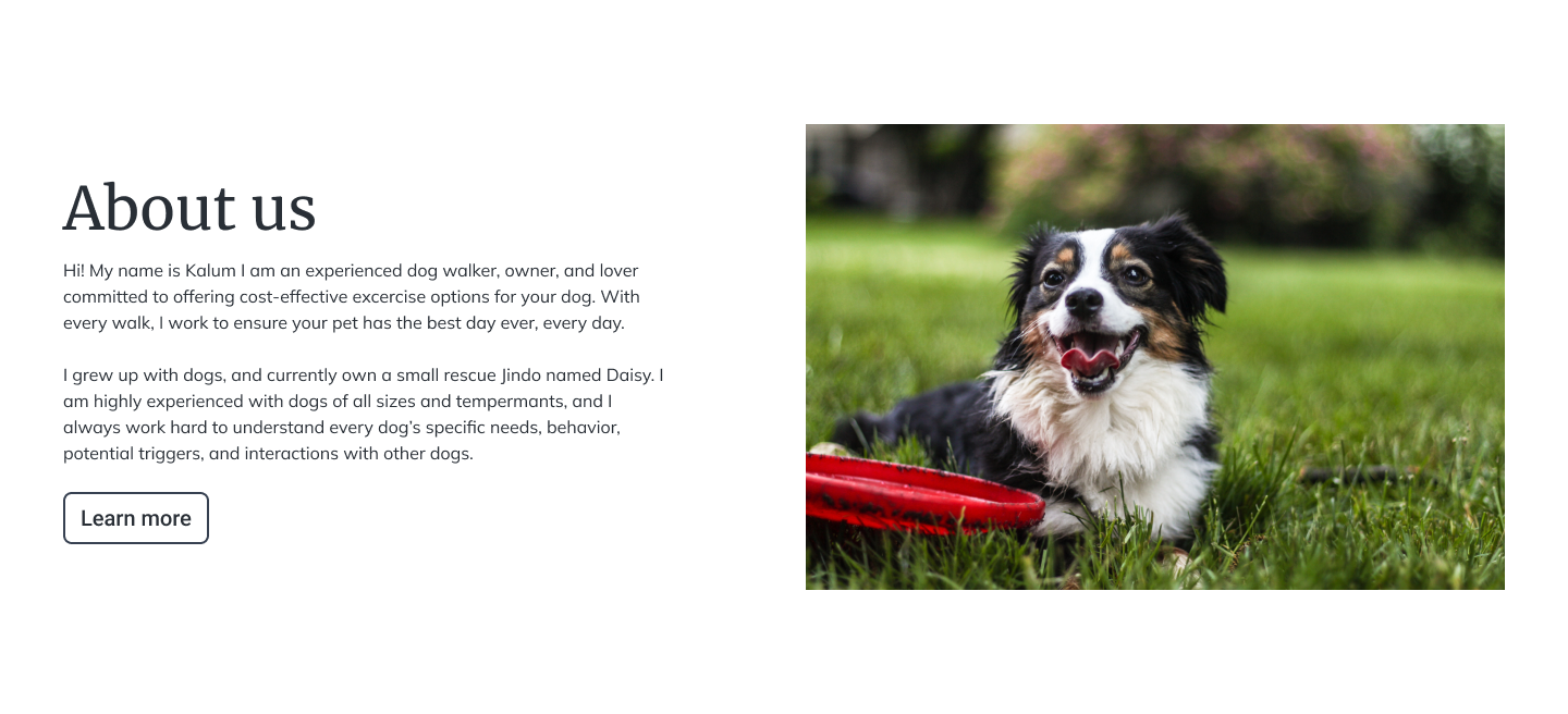 Dog walking website template | Durable